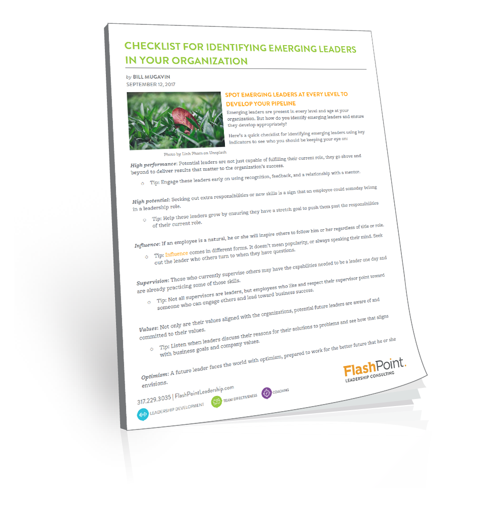 Download Checklist for Identifying Emerging Leaders PDF